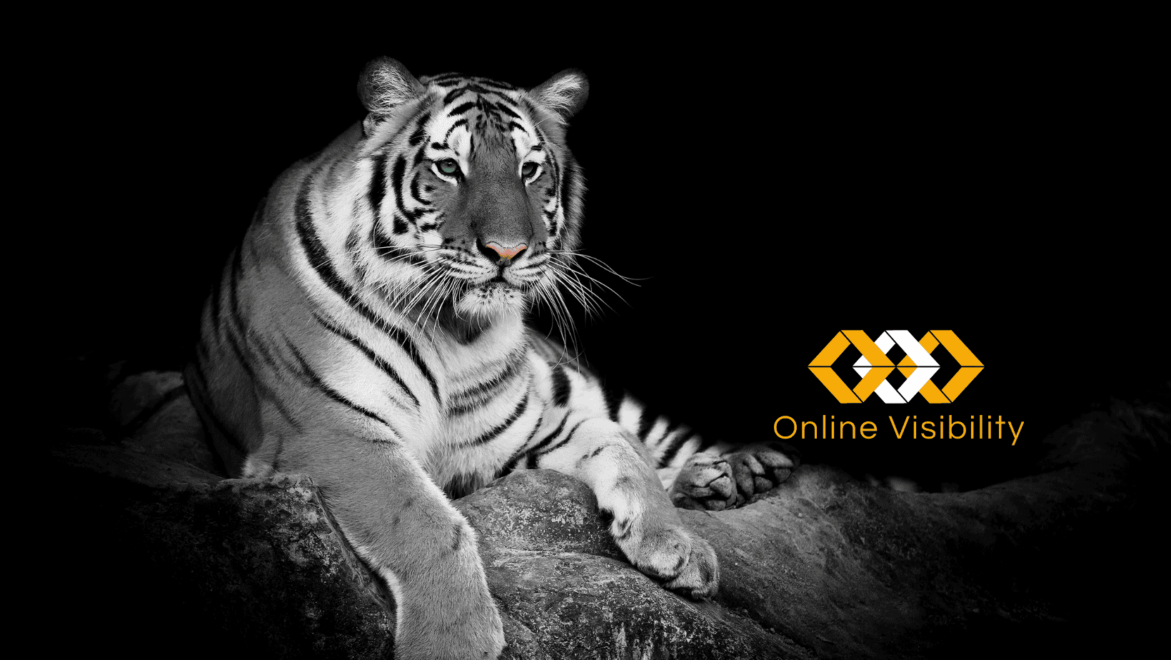 Book Not Selling Like You Think it Should? - Online Visibility Academy